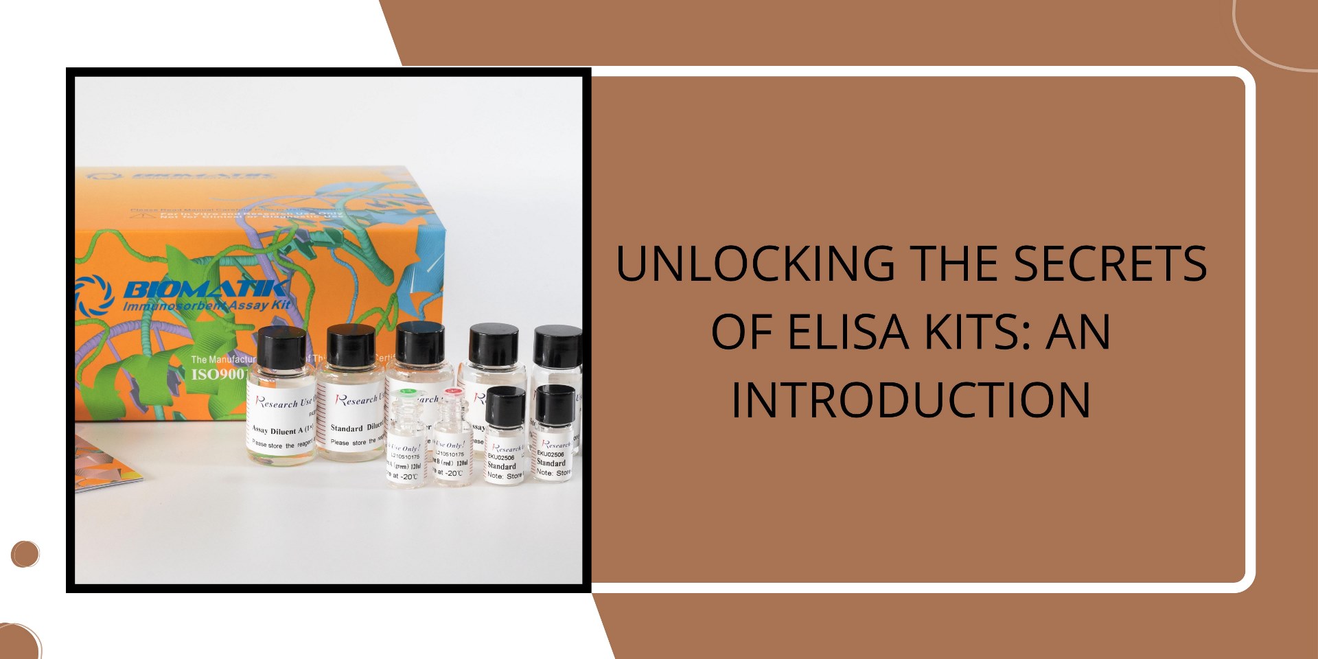 Unlocking the Secrets of Elisa Kits: An Introduction - Biomatik