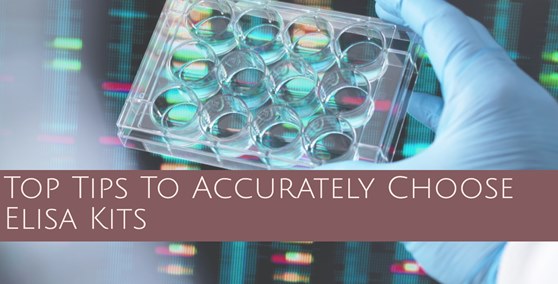 Top Tips To Accurately Choose Elisa Kits - Biomatik