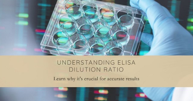 What Is Elisa Dilution Ratio, And Why Is It Important? - Biomatik