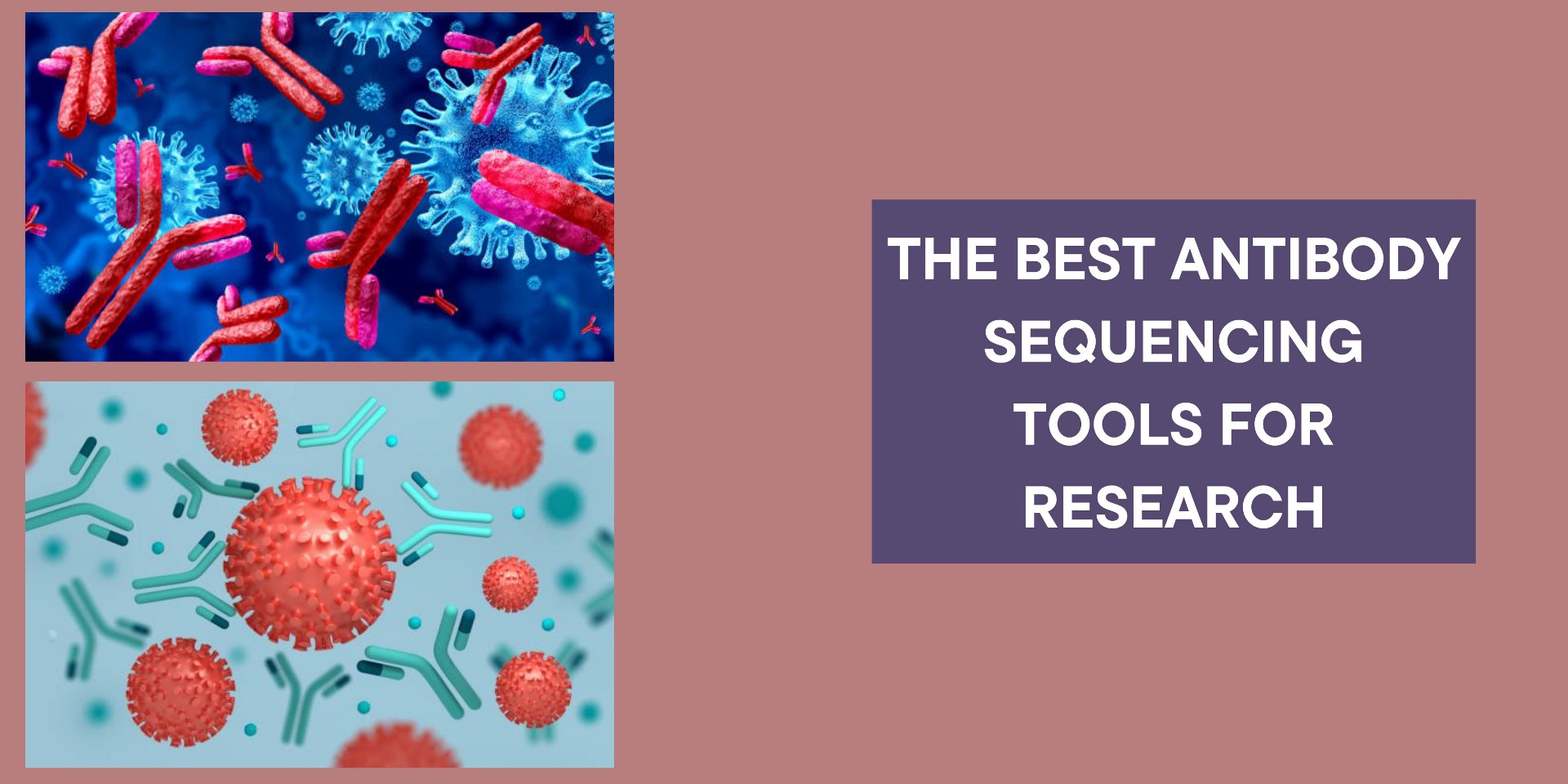The Best Antibody Sequencing Tools for Research - Biomatik