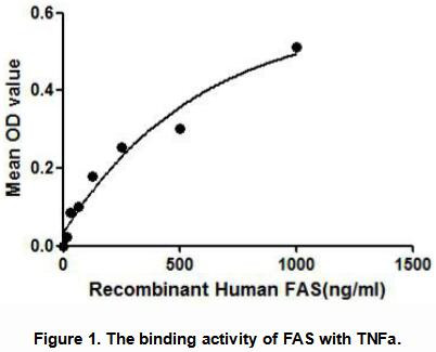 Human Factor Related Apoptosis (FAS), Active Protein, Cat#RPU54848 ...