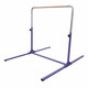 Tumbl Trak: Gymnastics Home Kip Bar for Gymnastics