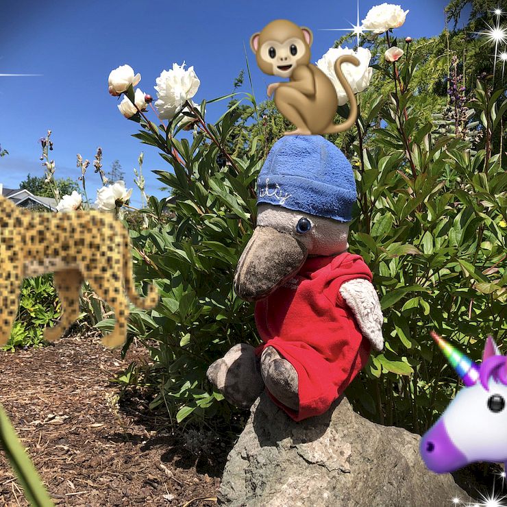 A unicorn, a monkey and a seagull walk into a bar….. - Tumbl Trak