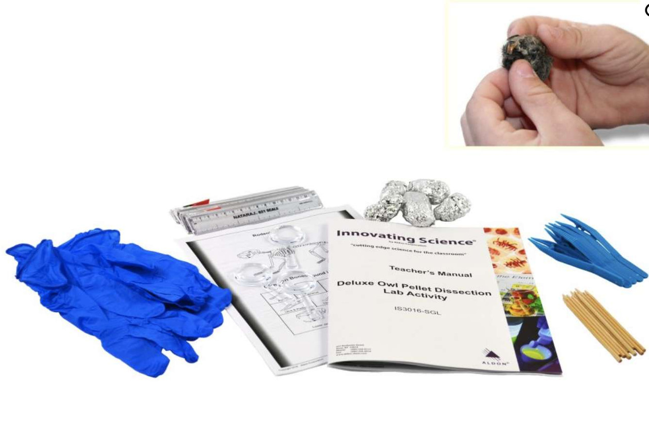 Innovating Science Small Group Learning Owl Pellet Dissection Lab