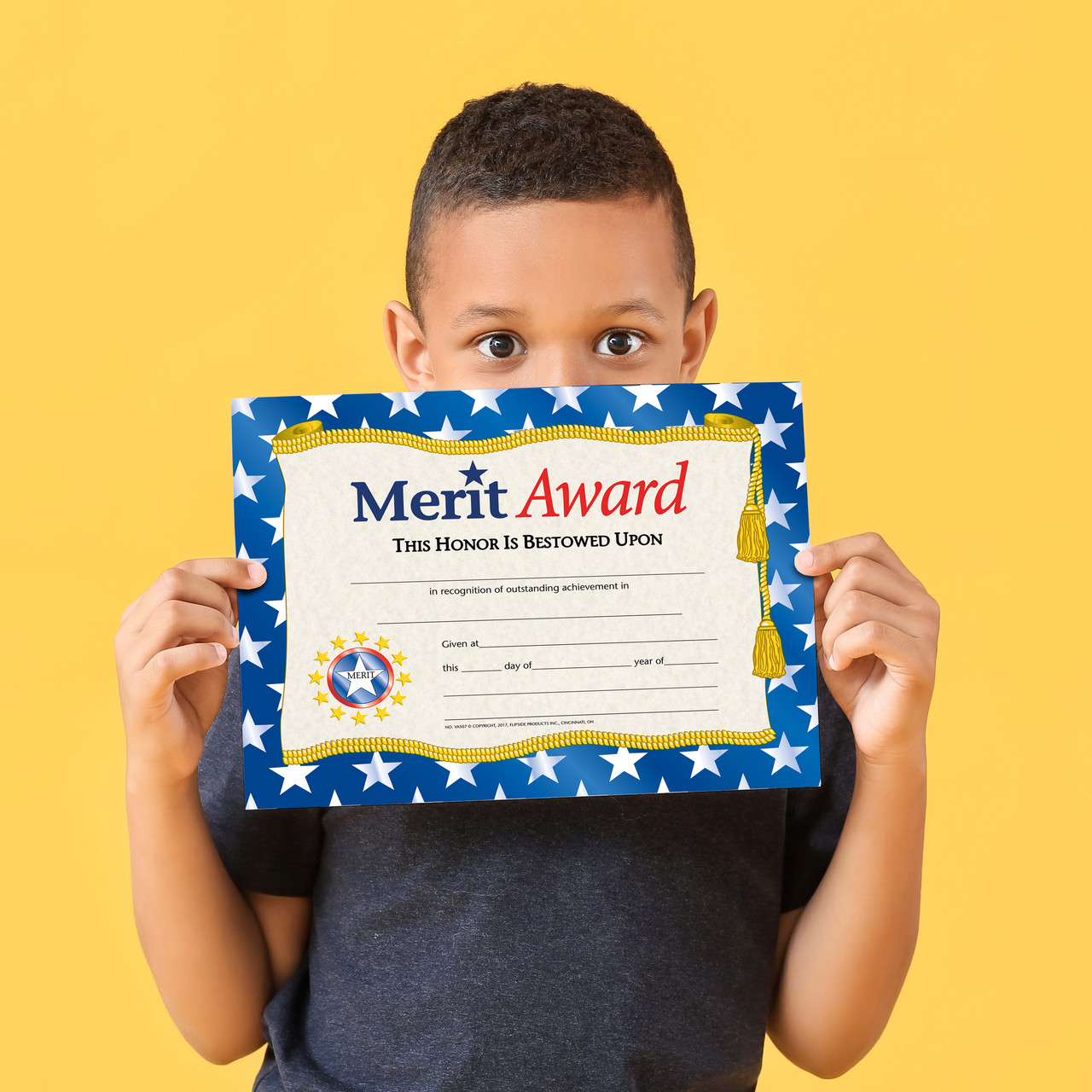 Merit Award Certificates, Pack of 30 - Recognize Excellence | Geyer ...
