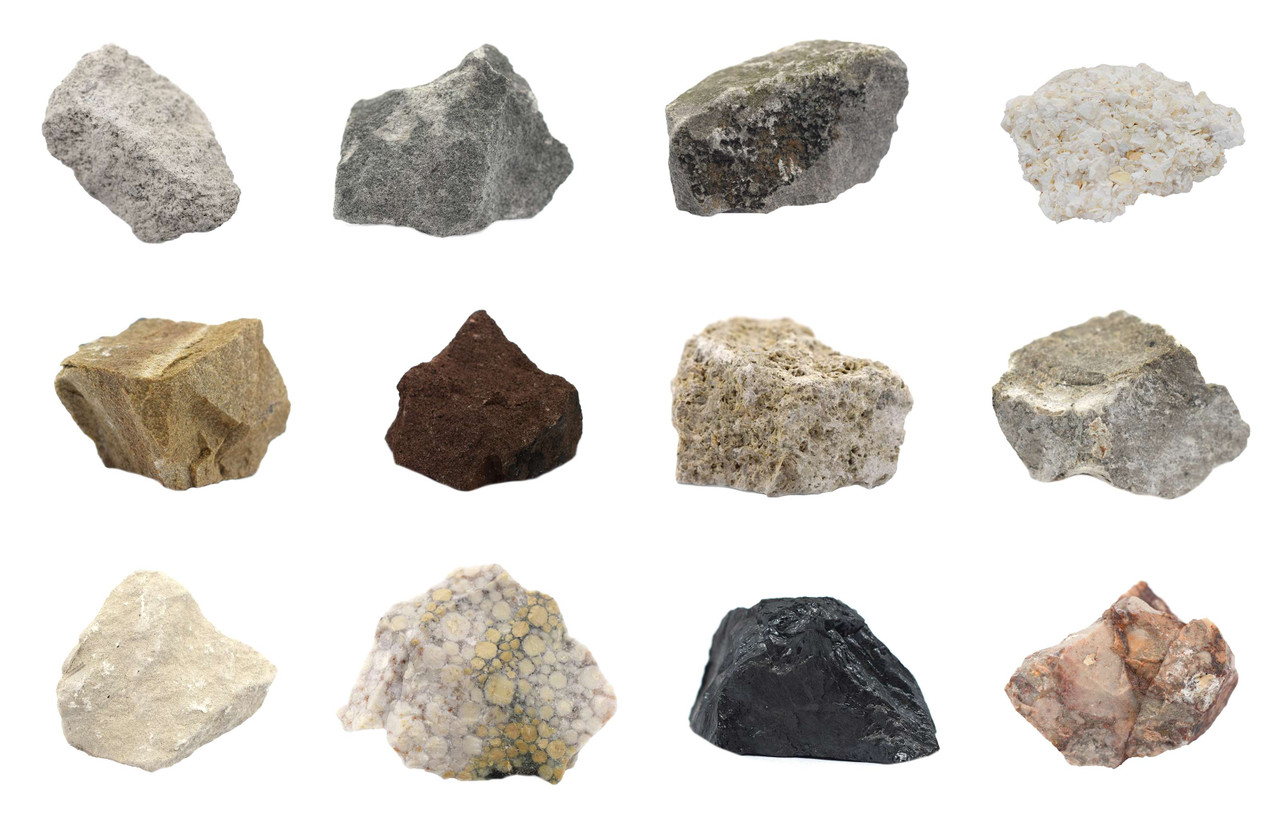 Introduction to Sedimentary Rocks Kit, 12 Specimens - Includes Storage ...