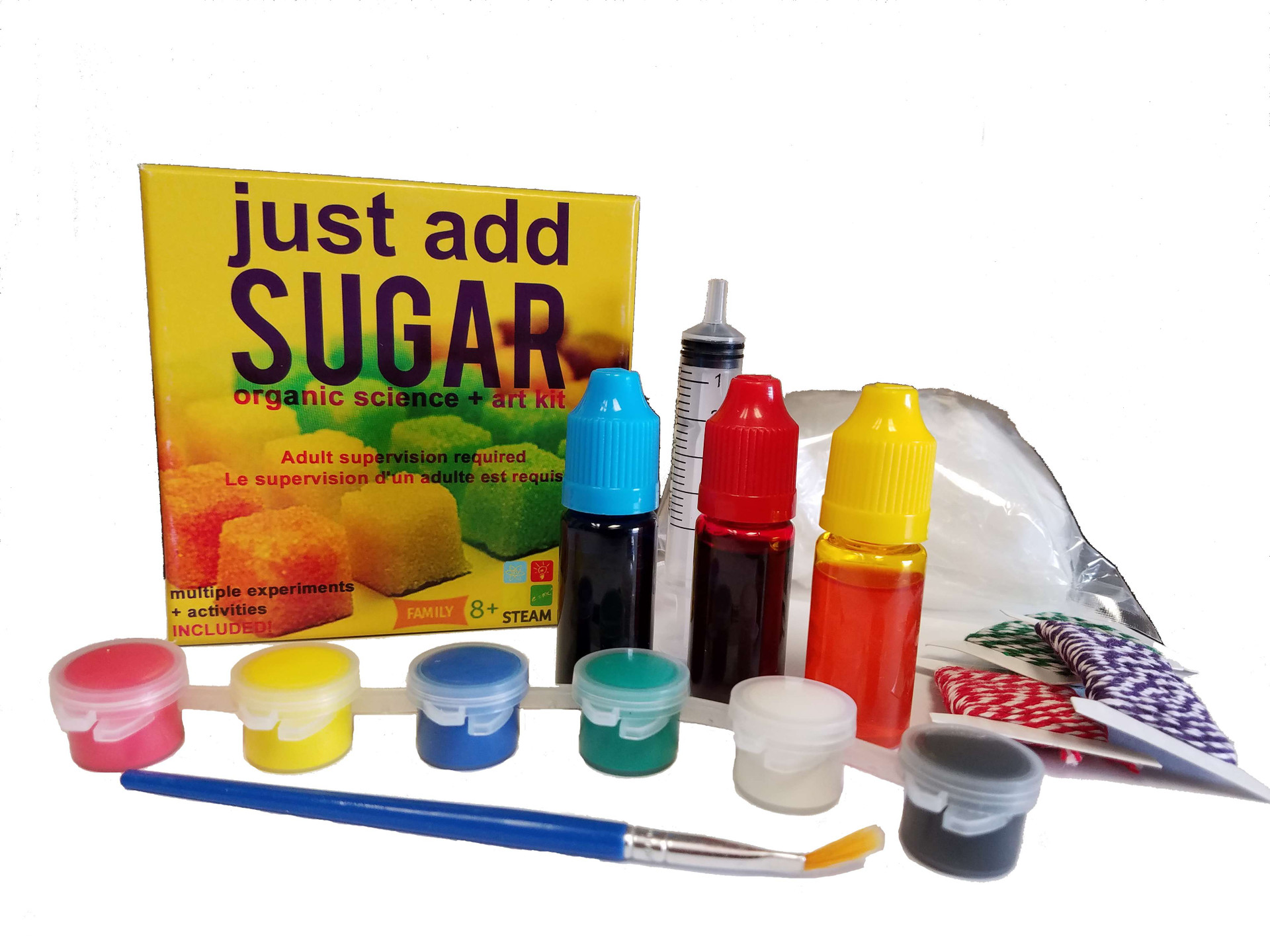 Just Add Fruits and Veggies STEAM Science & Art Kit | Geyer ...