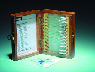 Histology Slide, Set of 25 | Geyer Instructional Products