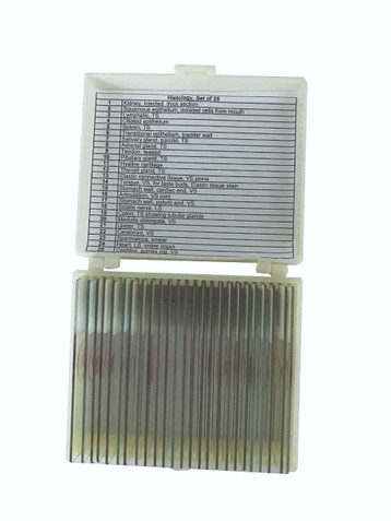 Histology Slide, Set of 25 | Geyer Instructional Products