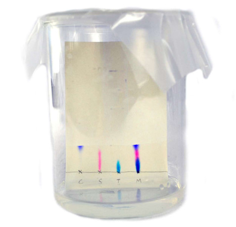 PAPER CHROMATOGRAPHY | Geyer Instructional Products