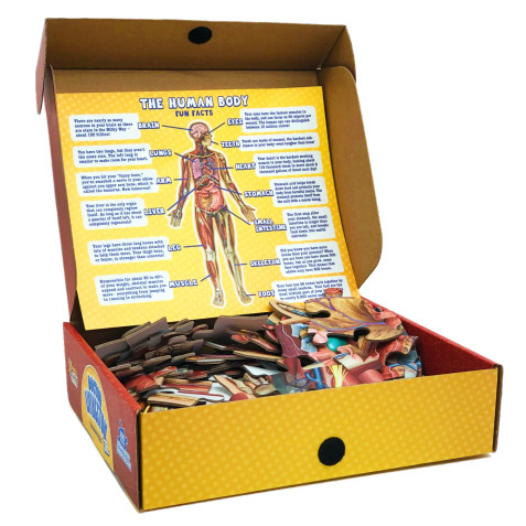 Full Body Human Anatomy Floor Puzzle, Kids 100-Piece Jigsaw Puzzle ...