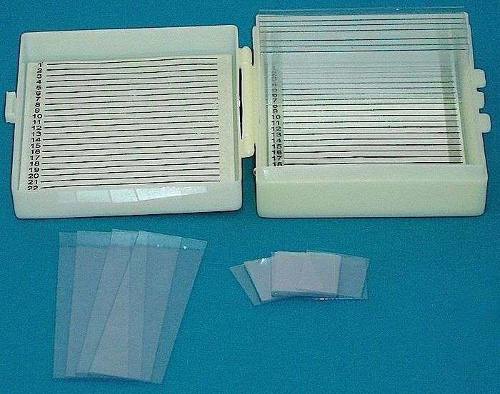 Scout Digital Microscope, STEM Microscope with Six Magnification Lenses ...