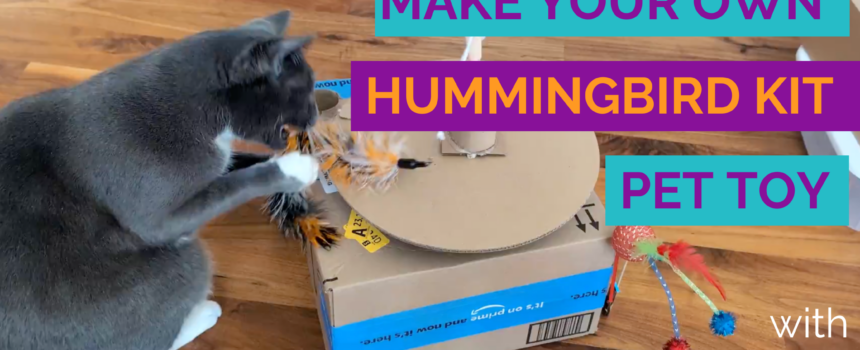 Make Your Own Hummingbird Kit Automated Pet Toy - Geyer Instructional ...