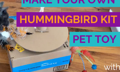 Make Your Own Hummingbird Kit Automated Pet Toy - Geyer Instructional ...
