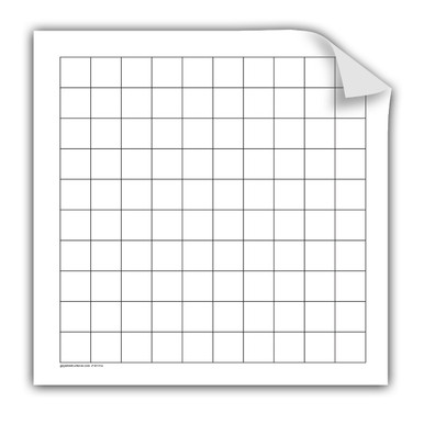 Easy Cling Graph - 10 x 10 | Geyer Instructional Products