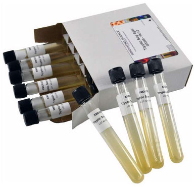 Tryptic Soy Agar Slant Tubes, 12 Pack | Geyer Instructional Products