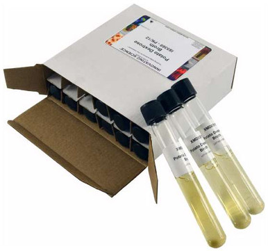 Potato Dextrose Broth Tubes, Pack of 12 | Geyer Instructional Products