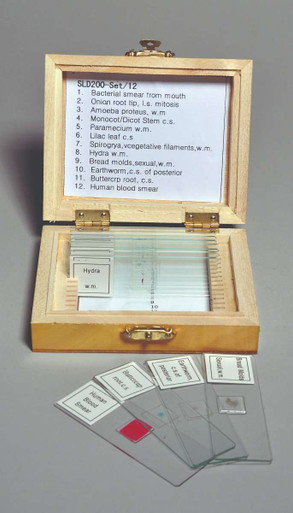 Biology Prepared Slide, Set of 12 | Geyer Instructional Products