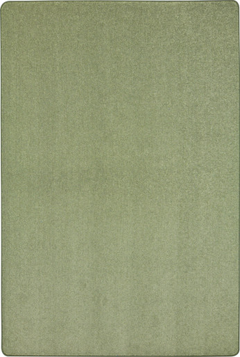 Endurance 12' x 6' area rug in color Sage