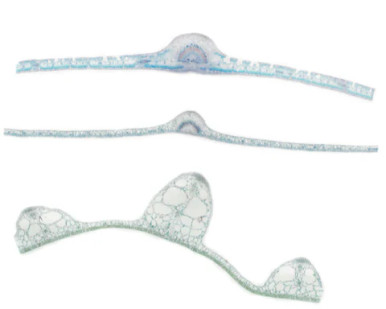 Prepared Microscope Slide, Leaf Composite; Showing Hydrophytic ...