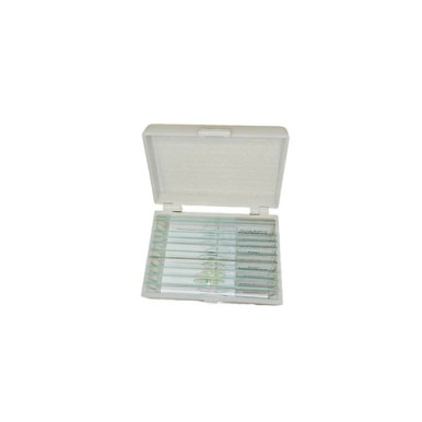 Prepared Microscope Slide Plant Set 10 slides. Glass slides and ...