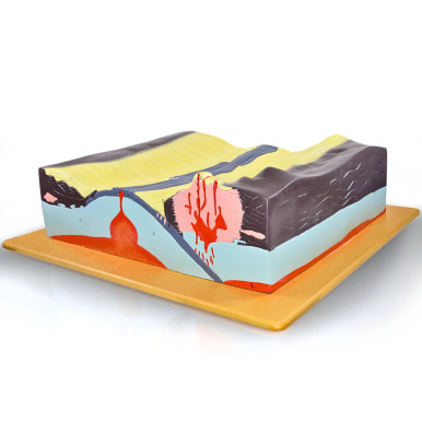 Eisco Labs: Tectonics Model with Labeled Features - Earth's Layers ...
