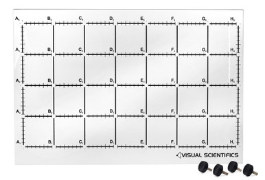 Eisco Labs: Visual Scientifics Magnetic Backboard for Physics Experiments
