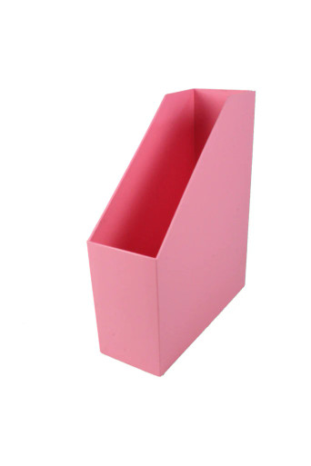 Hot Pink Magazine File Organizer - Set of 12