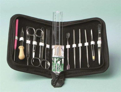 Blunt Straight Teasing Needle for Laboratory Use