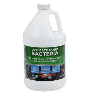 Ultimate Pond Clarifier | Natural Bacteria | PondValue