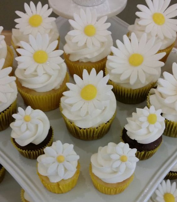Daisies Cupcakes