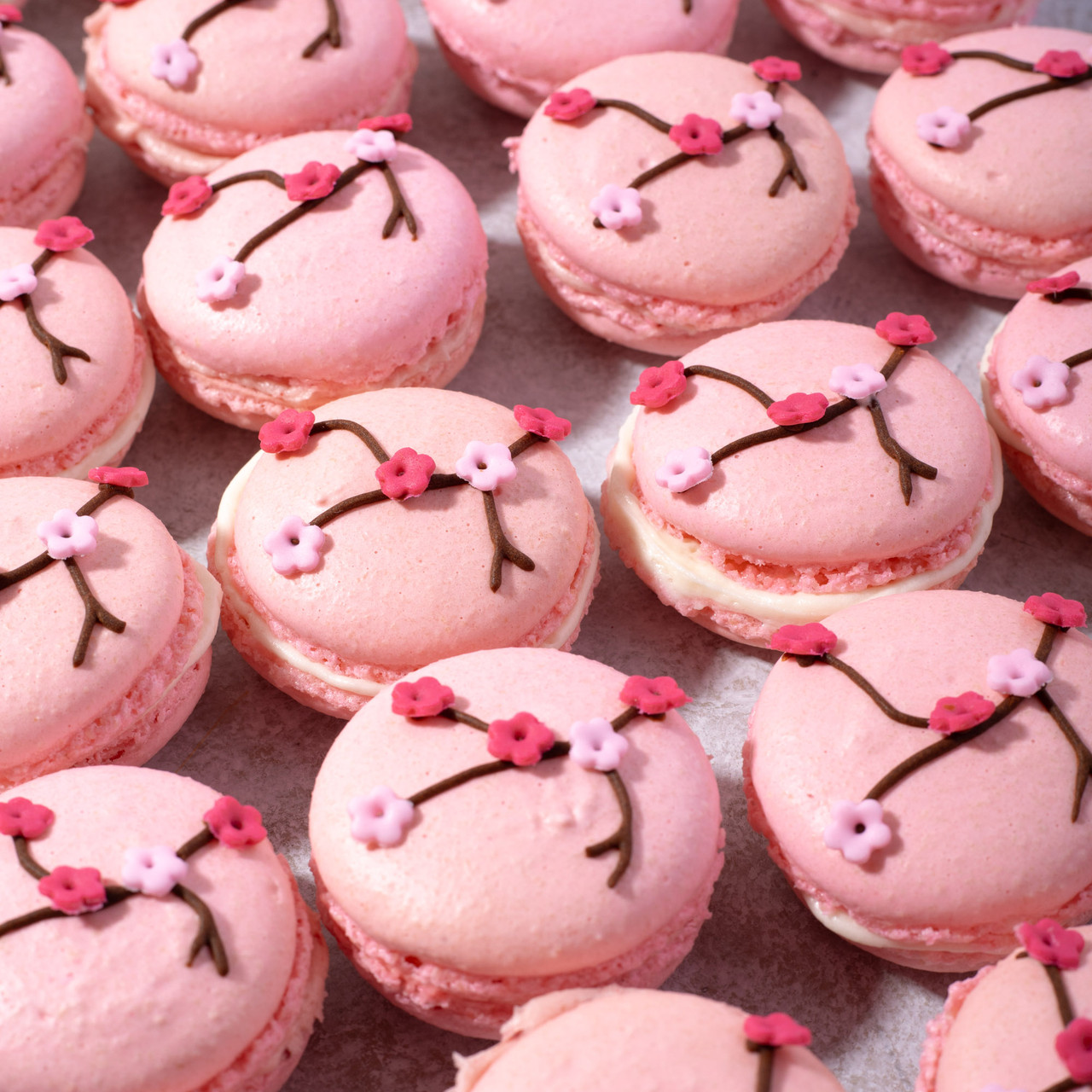 Cherry Blossom Macarons