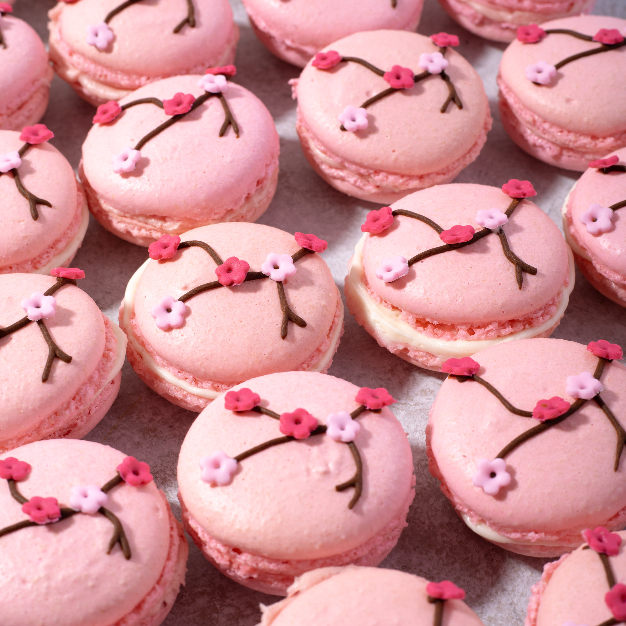 Cherry Blossom Macarons