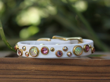 Ray Tag Collar