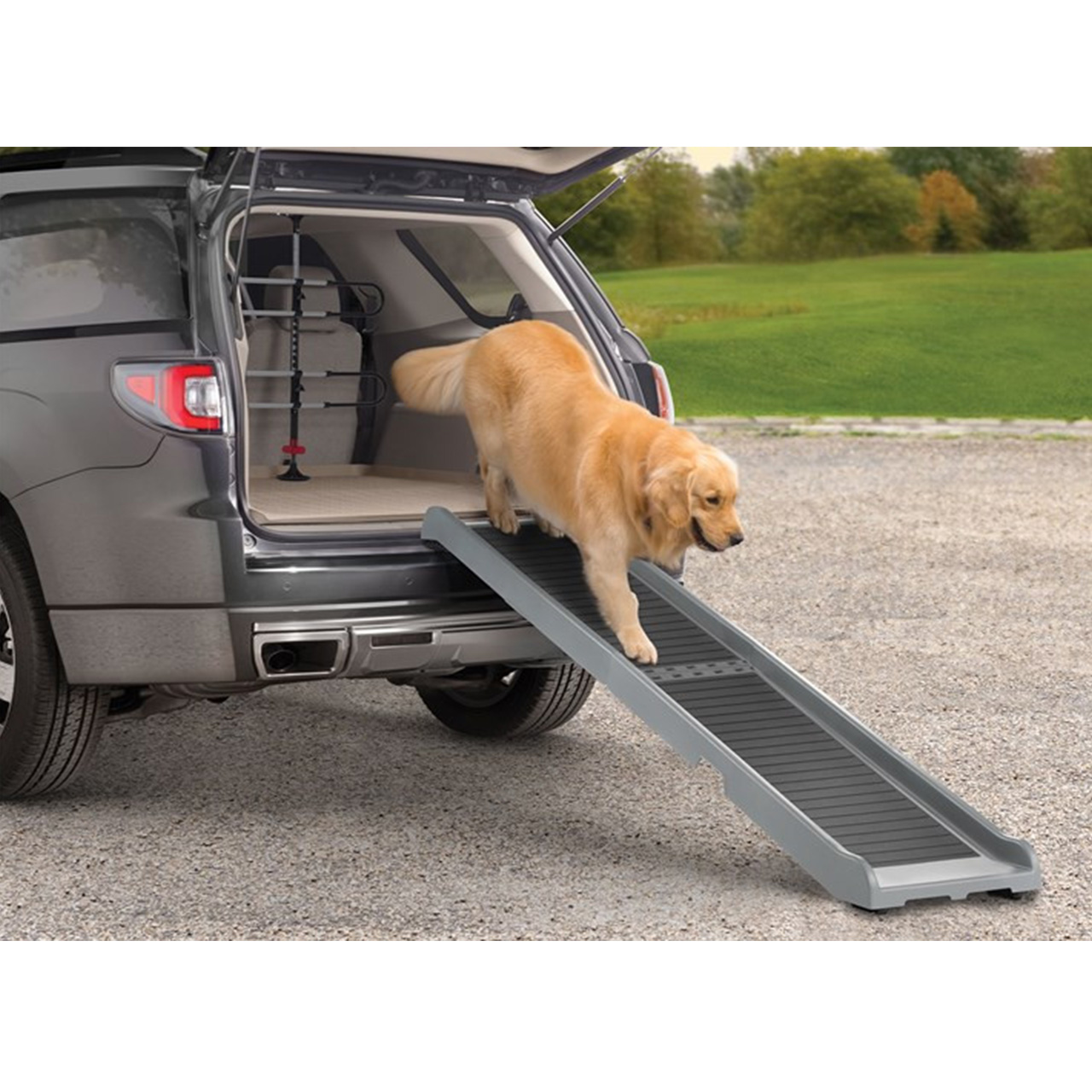 WeatherTech Pet Ramp - Free Shipping | Hyundai Shop