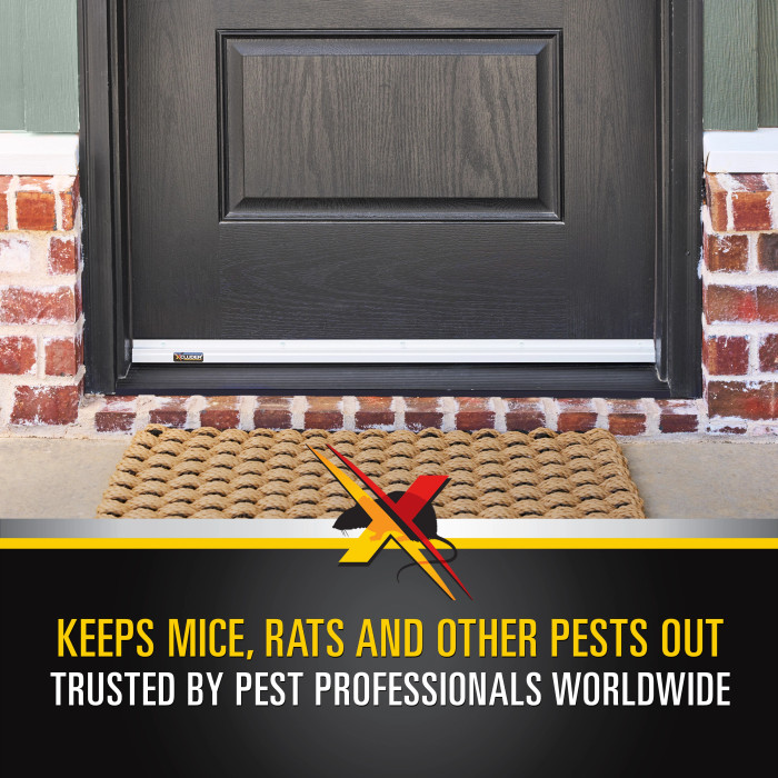 Low-Profile Rodent Proof Door Sweeps - for Gaps up to 1" - Xcluder