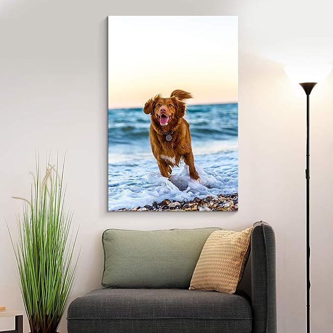 Canvas Prints - A Timeless Trend in Home Decor - Custom Canvas New Zealand