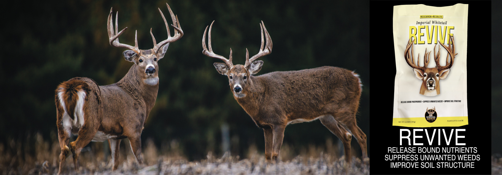 Canadian Whitetail Foodplots
