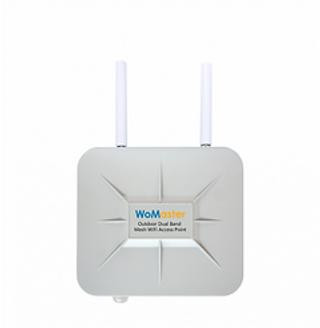 IP67 Long Distance WiFi MESH AP/Router