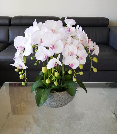 Large luxury orchid arrangement