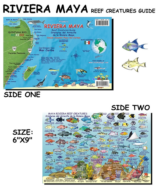 Mayan Riviera - Fish Card| Scuba Gear Canada