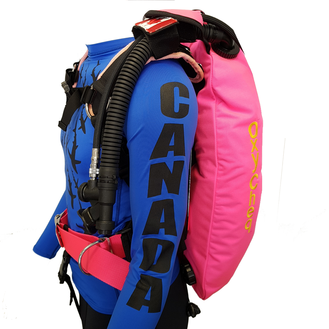 Oxycheq Wing & Backplate for Single Tank | Scuba Gear Canada
