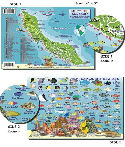 Curacao - Fish Card | Scuba Gear Canada