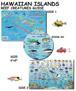 Kauai - Dive Map | Scuba Gear Canada