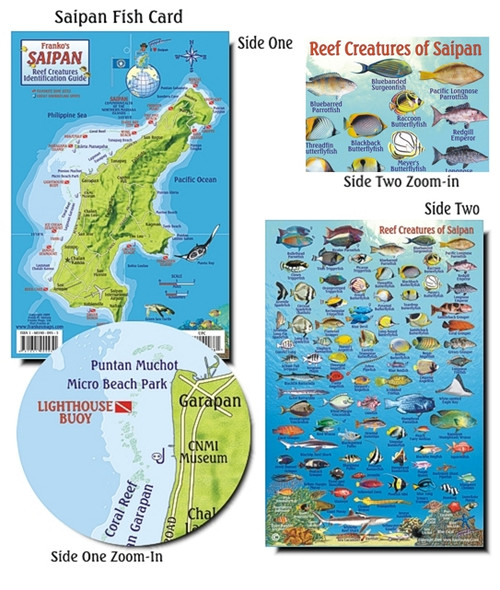 Saipan - Fish Card | Scuba Gear Canada