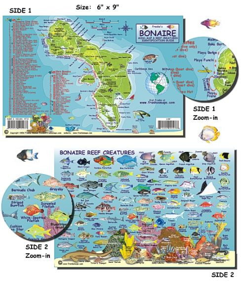 Bonaire - Fish Card | Scuba Gear Canada