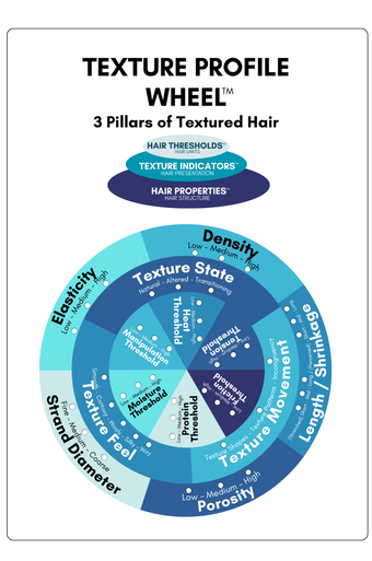 Texture Profile Wheel™ References