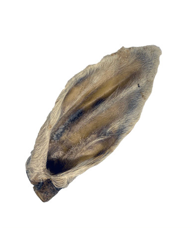 Hairy Lamb Ears - Nordale Pet & Farm Supplies