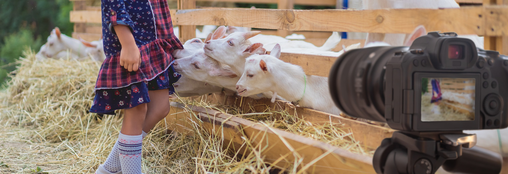 Ag Express Electronics - Ag Express