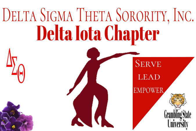 Delta Sigma Theta Retractable Banners - Delta Banner - Sorority Banner ...